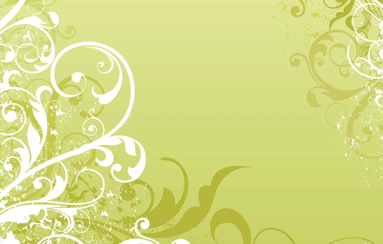 Wallpaper white, green, pattern, vector, texture, ornament, Abstract ...