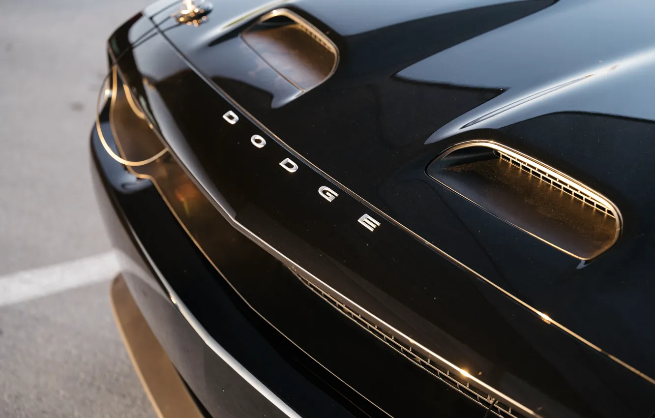 Wallpaper Dodge, Challenger, Dodge Challenger SRT Black Ghost for ...