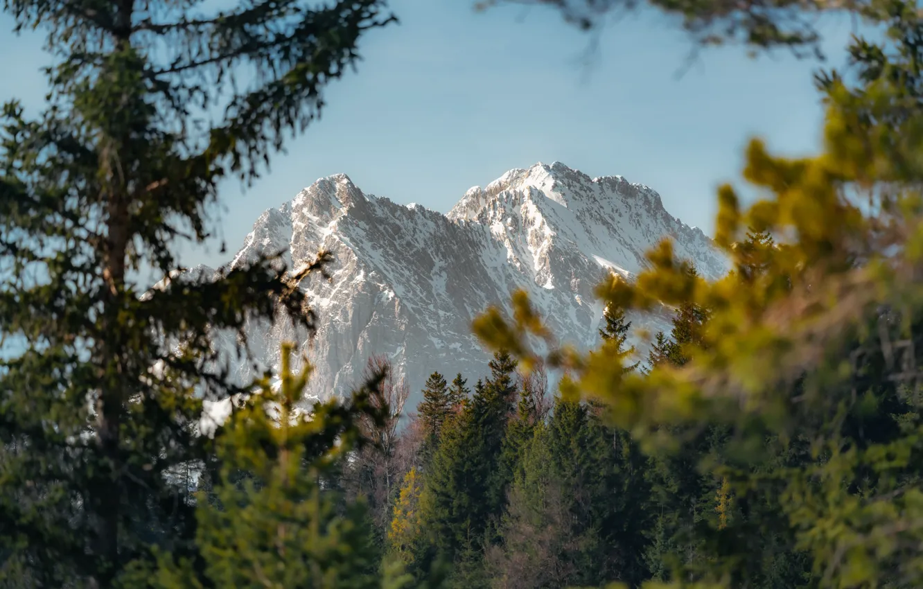 Wallpaper Nature, Sky, Wood, Mountain, View, Trees, Daniel Sessler for ...