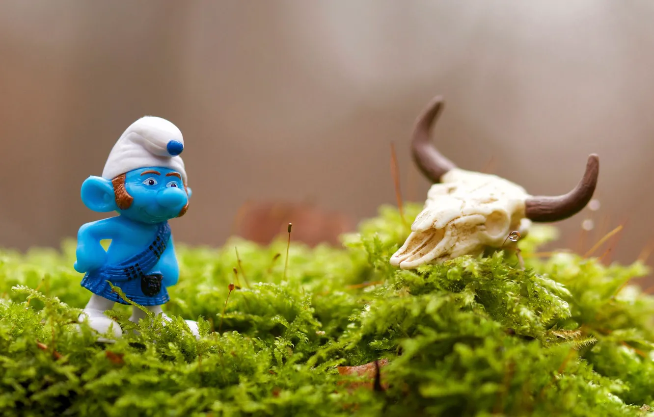 Wallpaper skull, figure, smurf, scotsman smurf images for desktop ...