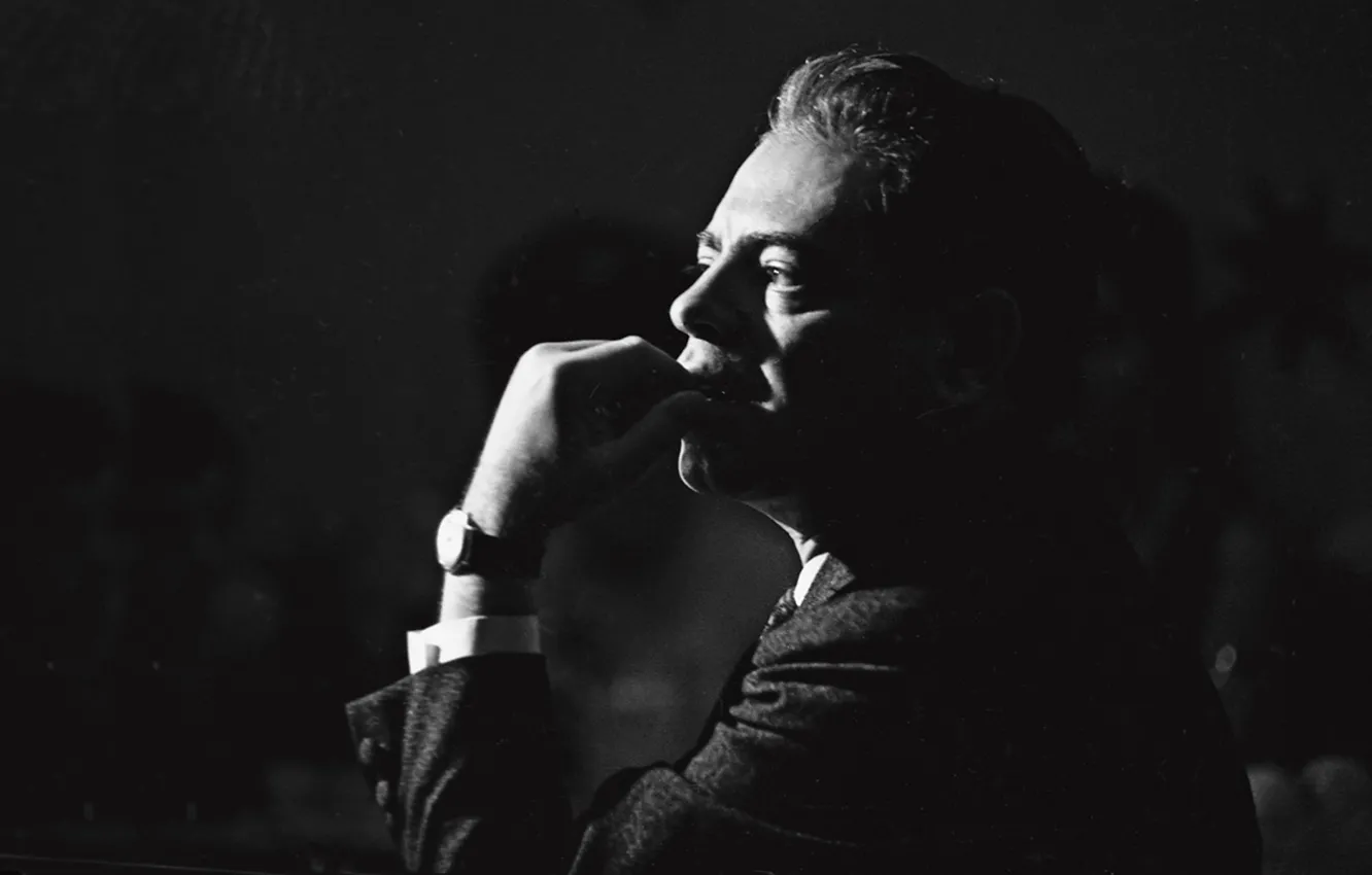 Wallpaper photo, celebrity, artist, Arkady Raikin images for desktop ...