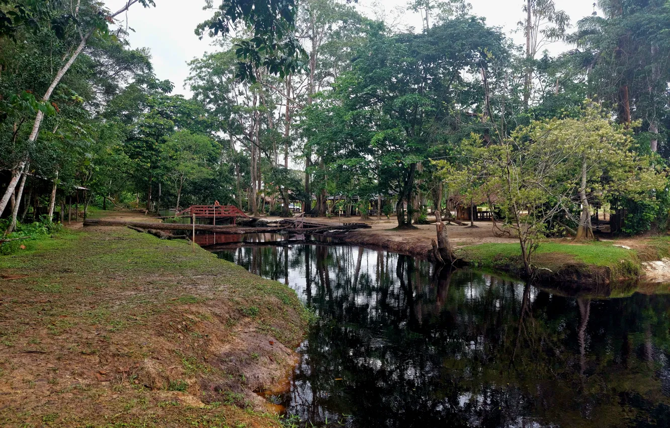 Wallpaper Nature in Suriname, Saramacca Suri, Surinam wallpapers for ...