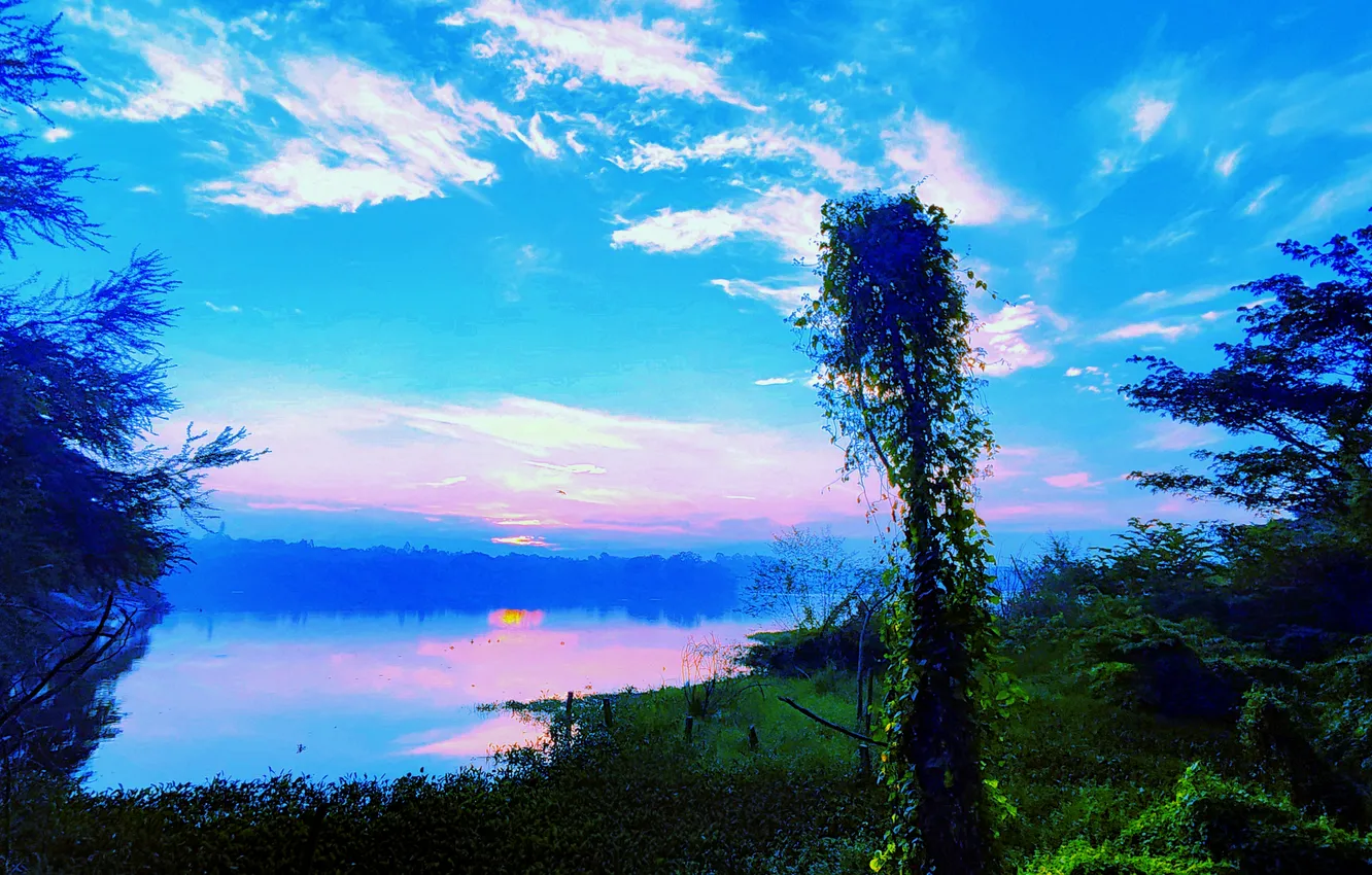 Wallpaper Clouds, Sky, Grass, Water, Sunrise, Dawn, Morning, Lake for ...