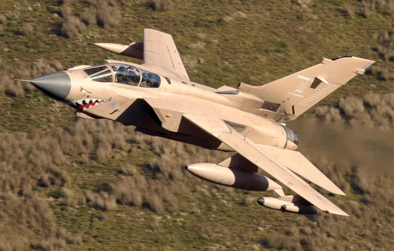 Wallpaper flight, fighter, bomber, Panavia Tornado images for desktop ...