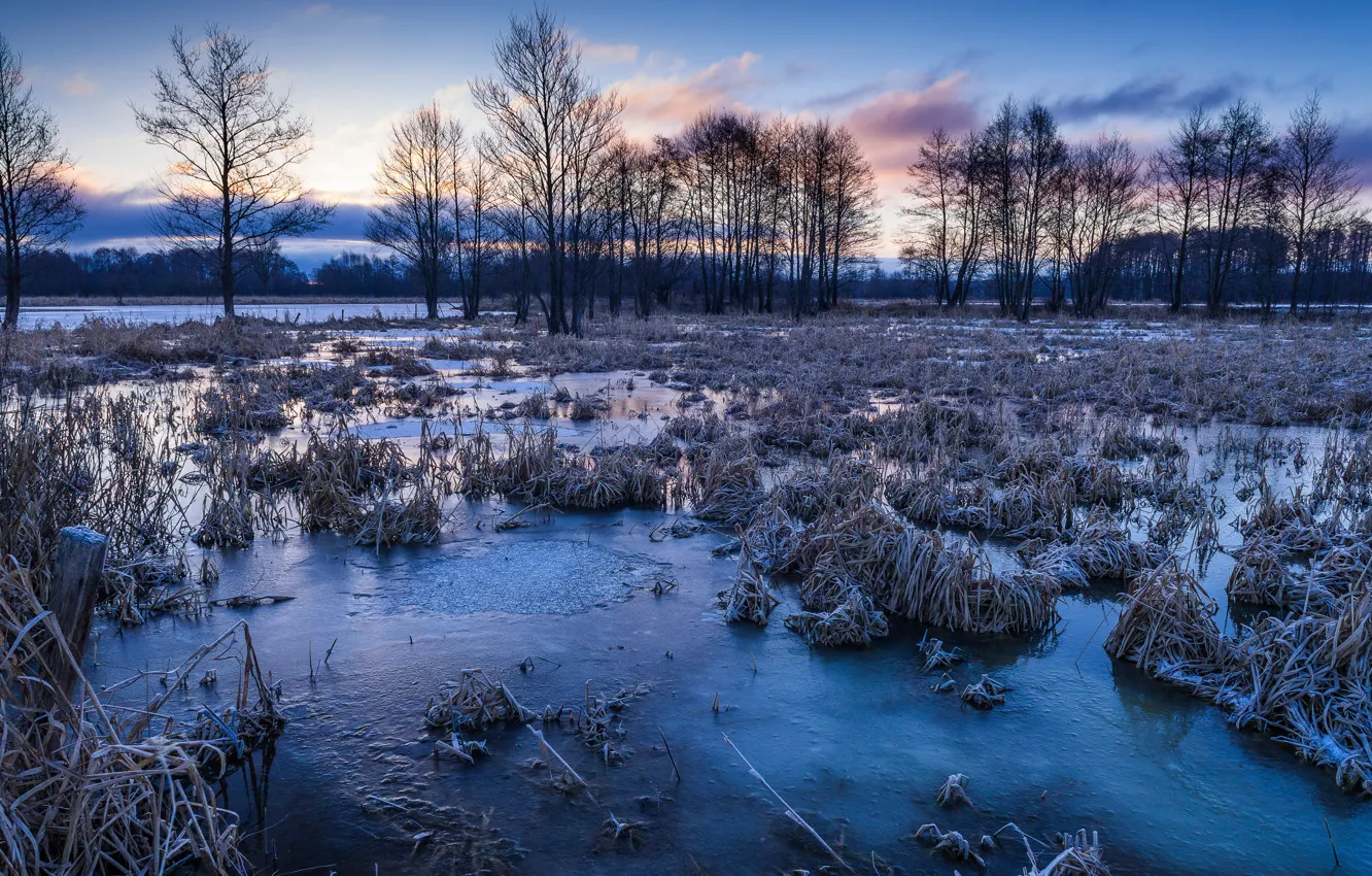 Wallpaper cold, winter, field for mobile and desktop, section природа ...