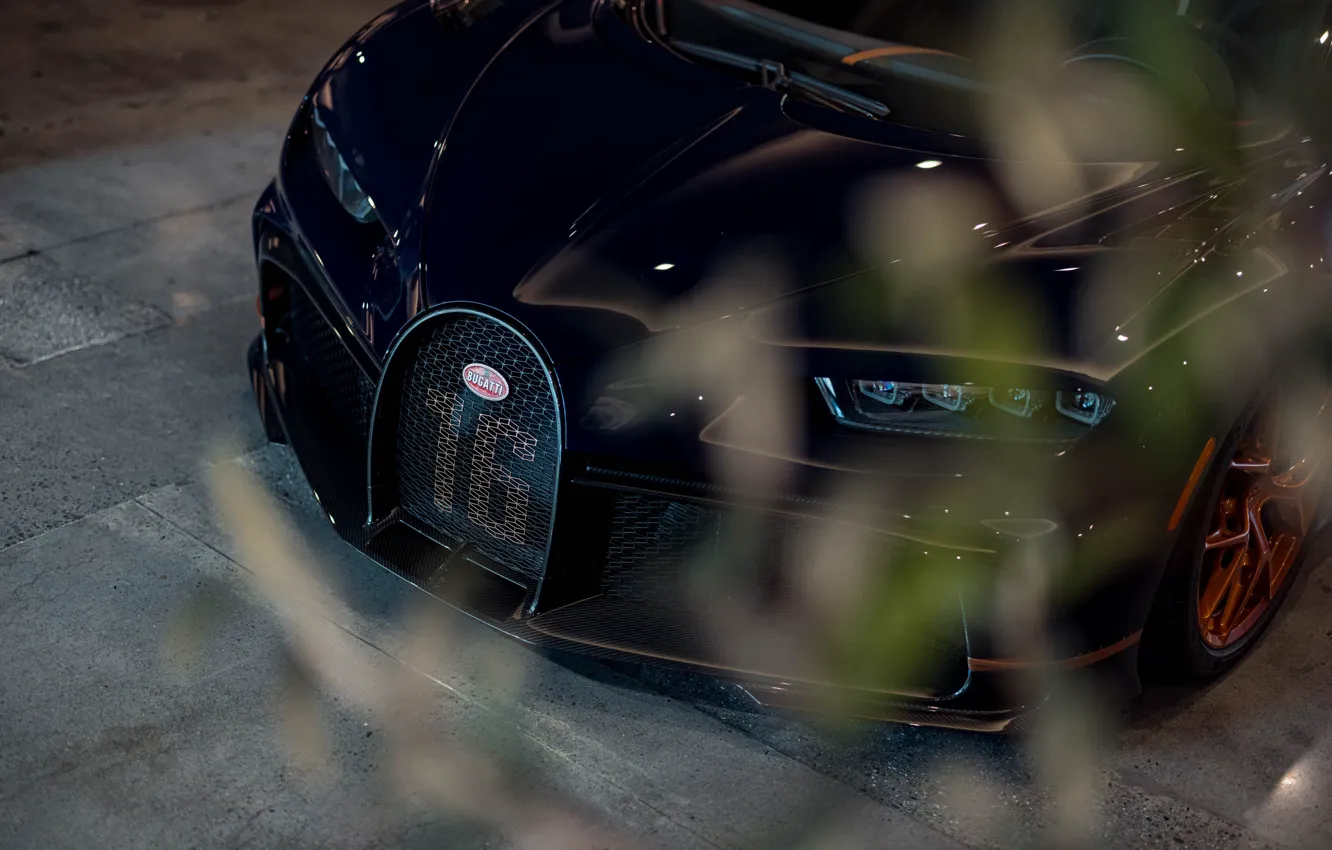 Wallpaper Face, VAG, Black, Bugatti, Chiron, Branch, Light images for ...