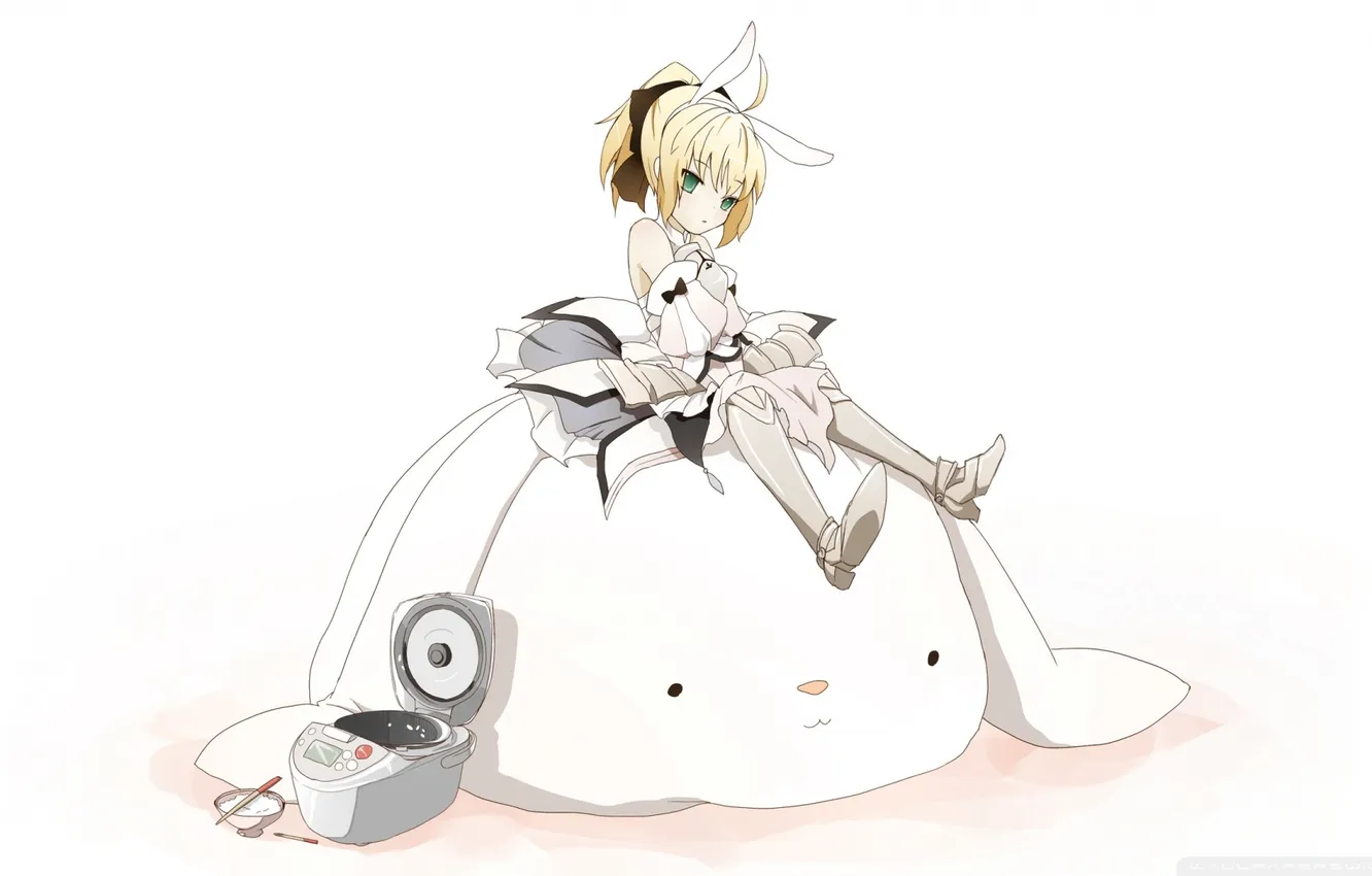 Wallpaper anime, rabbit, girl, Fate Stay Night for mobile and desktop ...