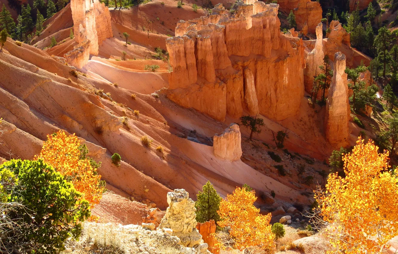 Wallpaper autumn, Utah, USA, USA, Bryce Canyon, autumn, Utah, Bryce ...