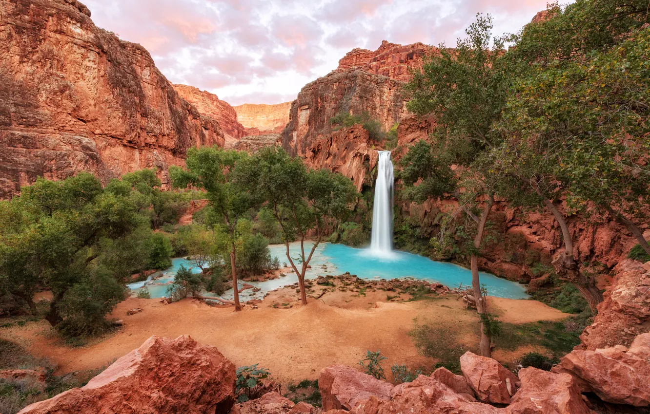 Wallpaper trees, nature, river, rocks, waterfall, canyon, AZ, Havasu ...