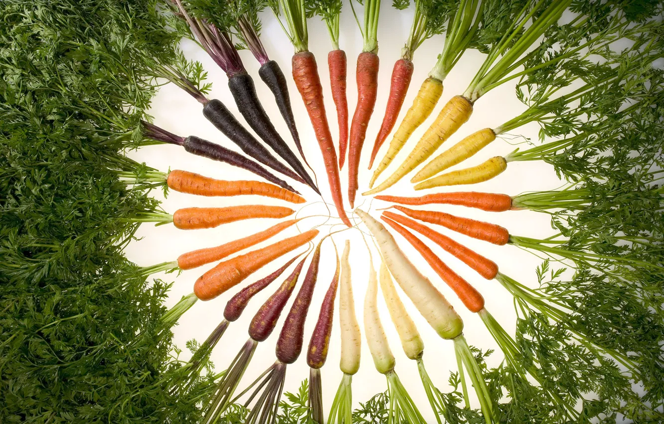 Wallpaper food, a profusion of color, carrots for mobile and desktop ...