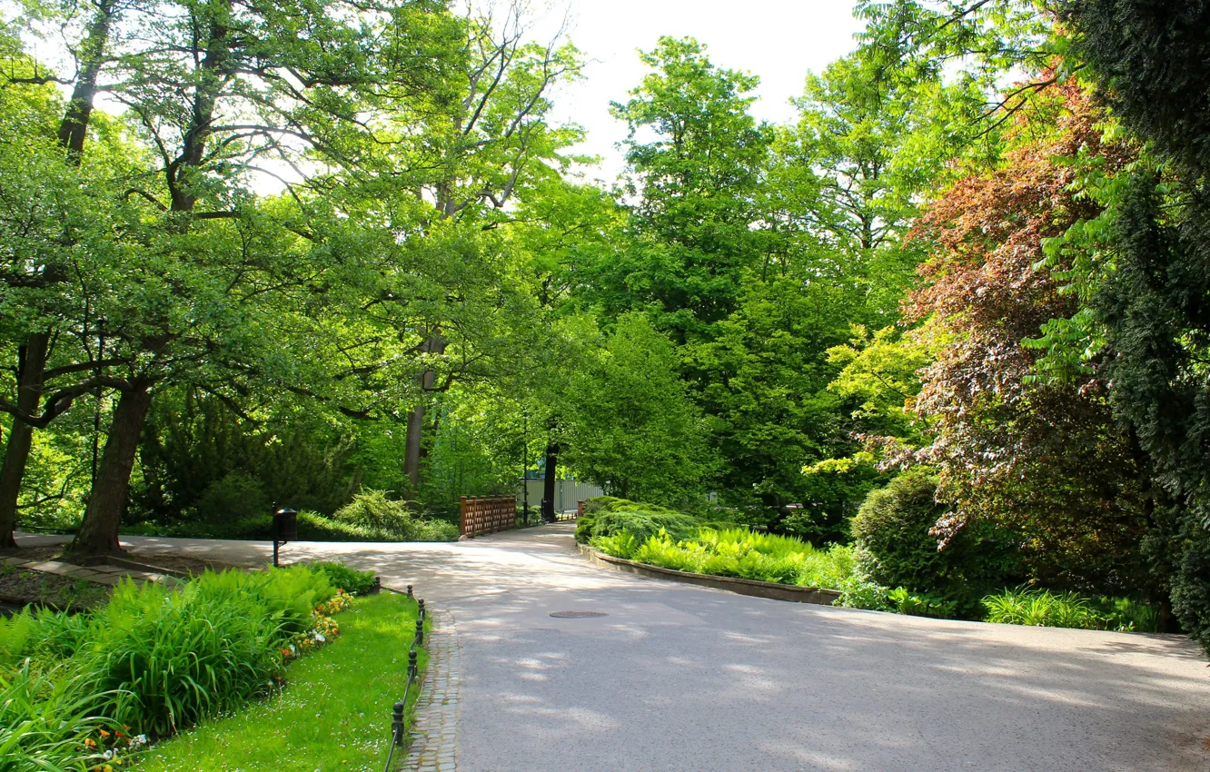 Wallpaper road, park, garden for mobile and desktop, section природа ...