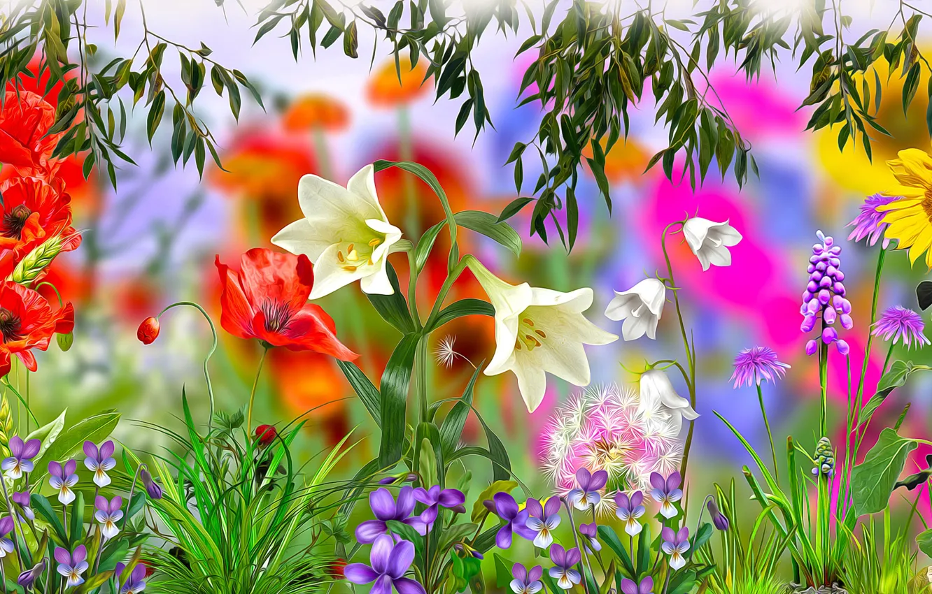 Wallpaper Graphics, Flowers, Colored for mobile and desktop, section ...