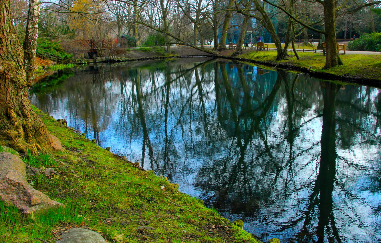 Wallpaper park, lake, tree, pond, waterm for mobile and desktop ...