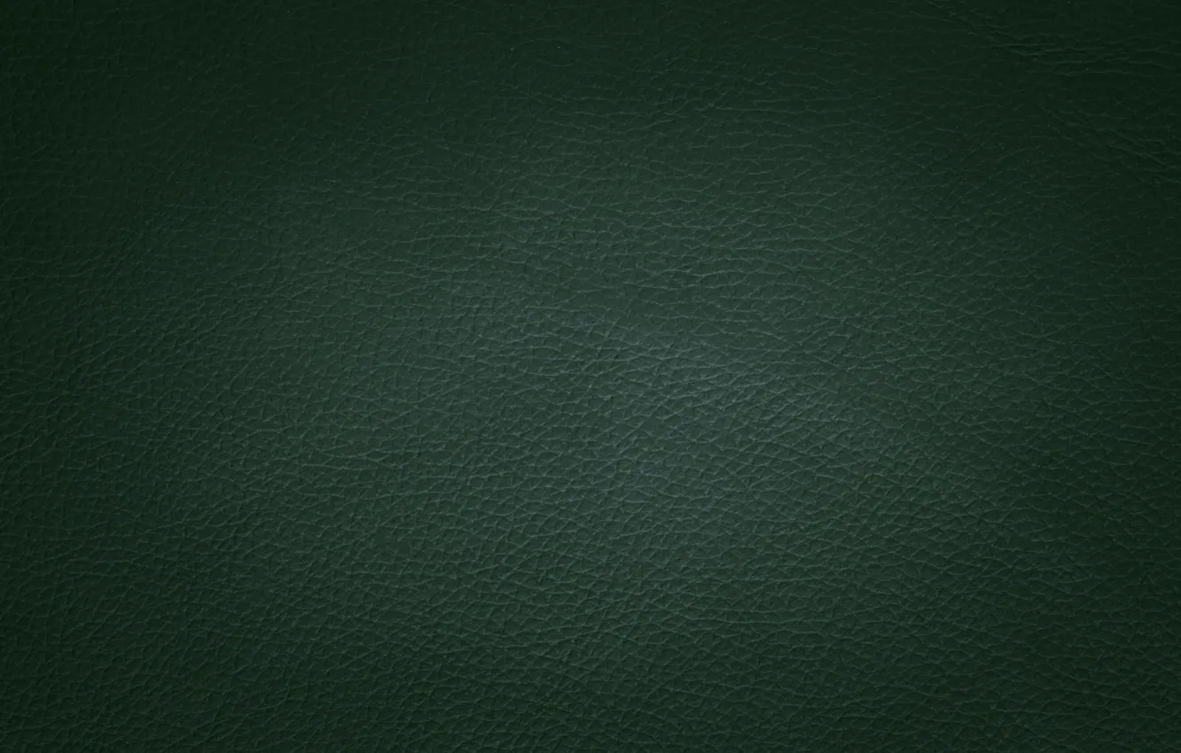 Wallpaper color, finish, leatherette for mobile and desktop, section ...