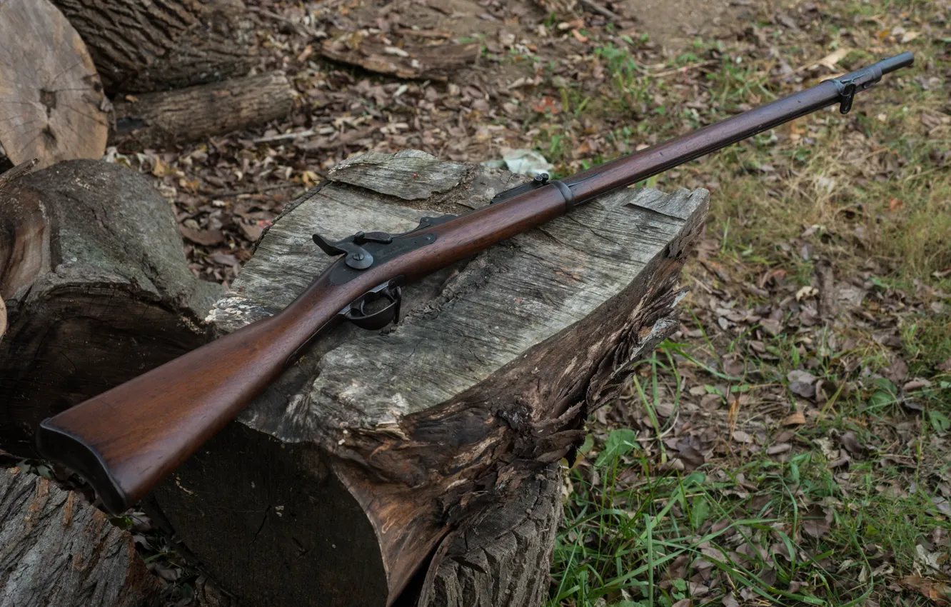 Wallpaper weapons, the gun, 1873 for mobile and desktop, section оружие ...