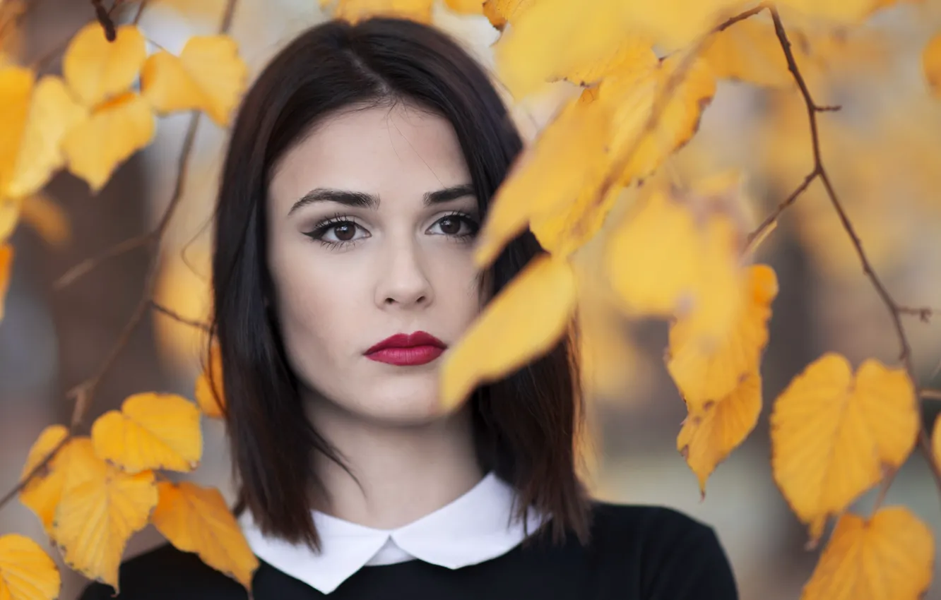 Wallpaper autumn, girl, portrait for mobile and desktop, section ...