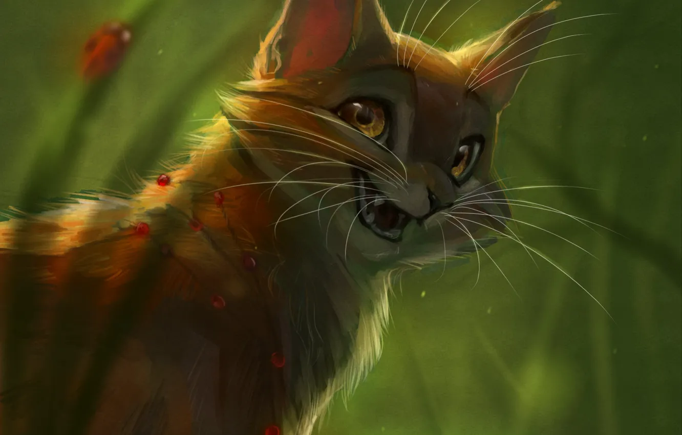 Wallpaper cat, nature, Rowan, by Vao-Ra for mobile and desktop, section ...