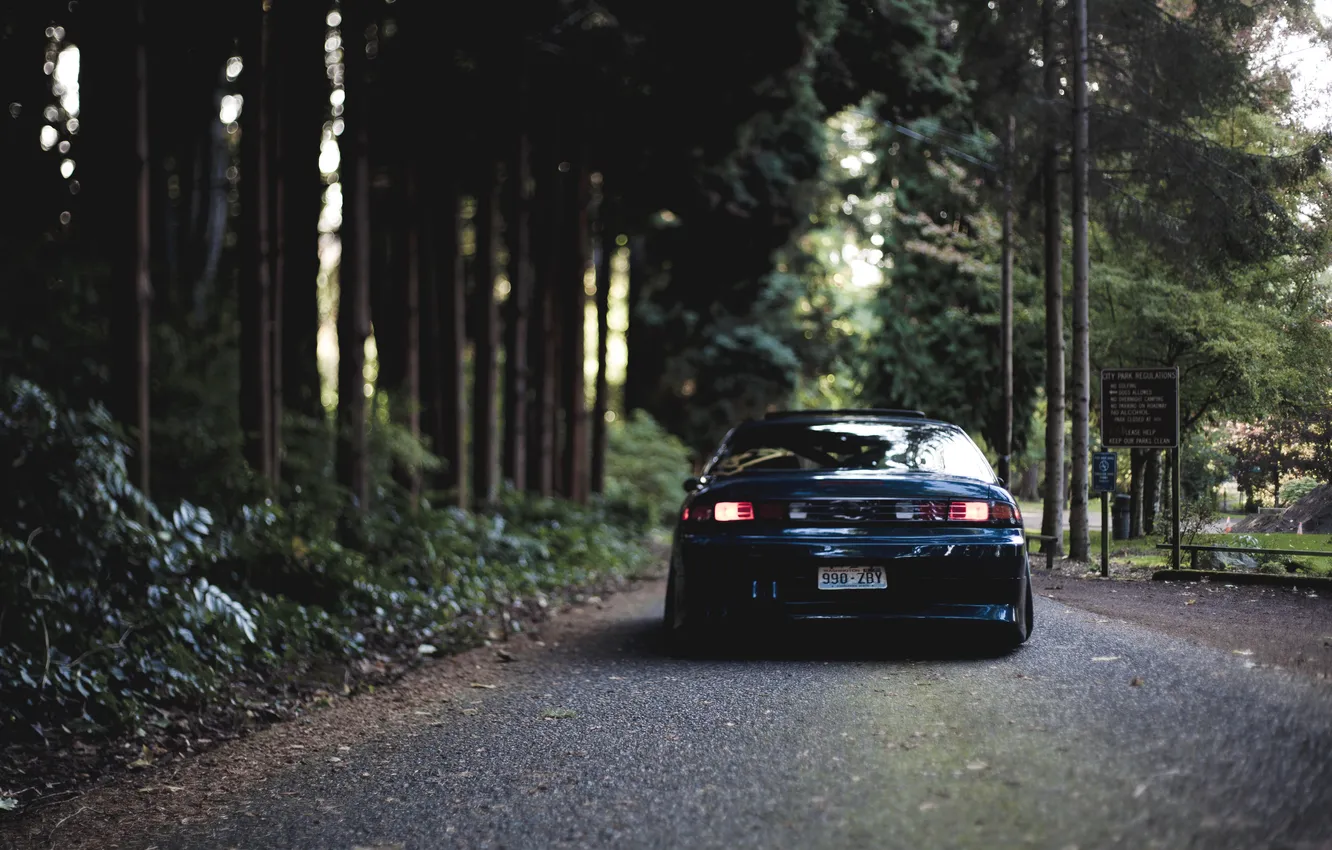 Wallpaper machine, forest, trees, Silvia, Nissan, Nissan, tuning ...
