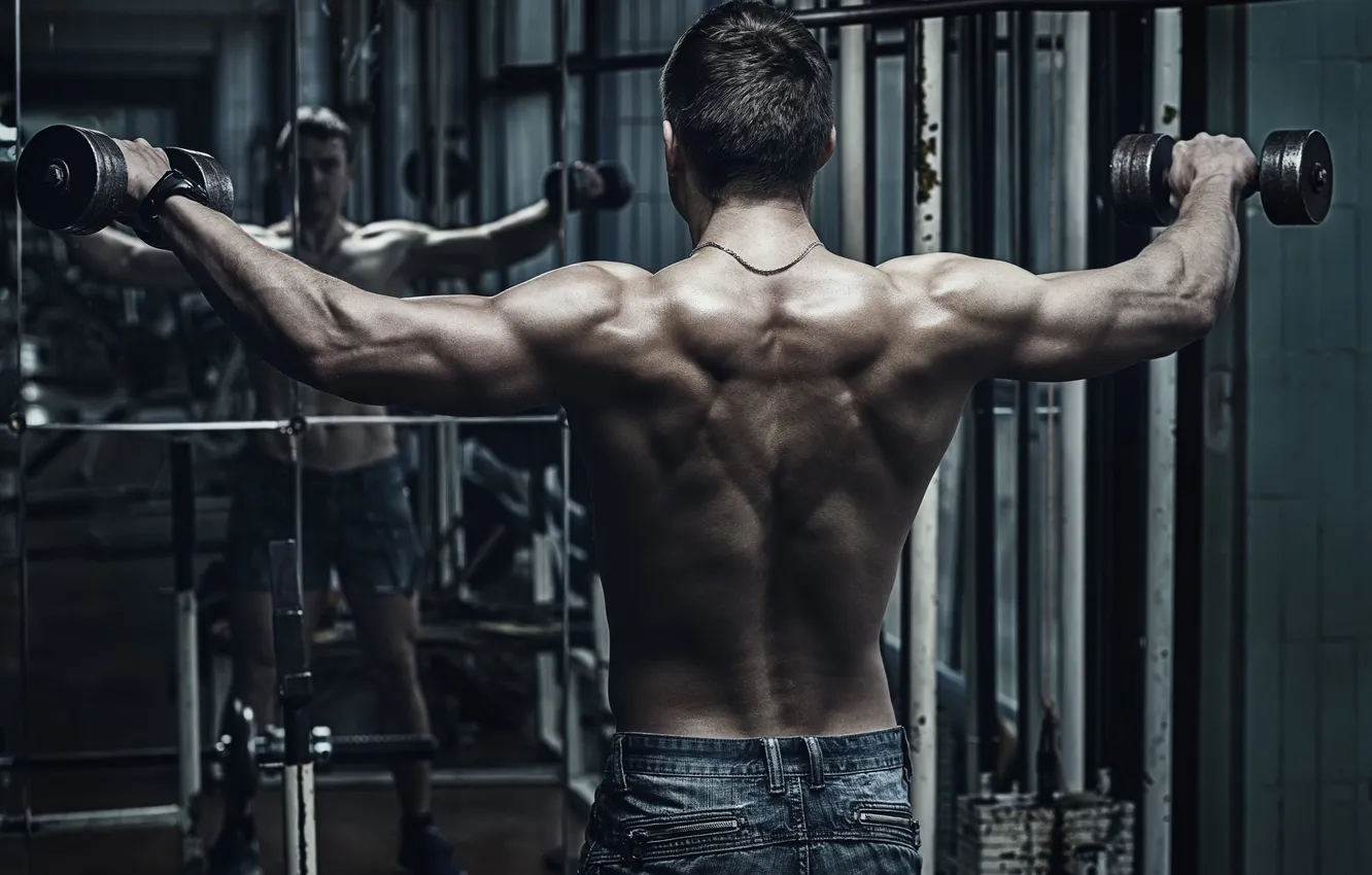 Wallpaper Back, muscle, muscle, Back, black and white, dumbbells ...