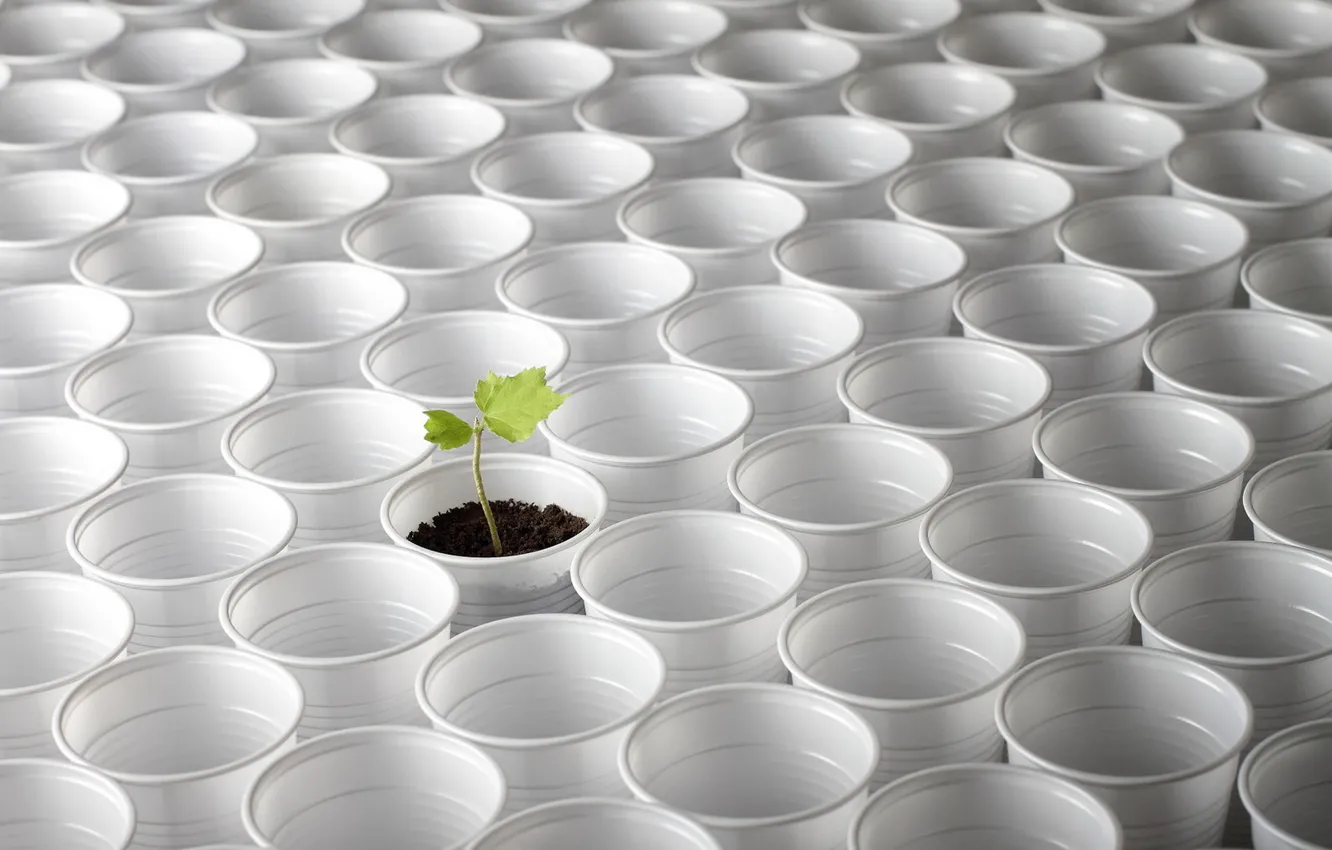 Wallpaper life, glasses, rostenie for mobile and desktop, section ...