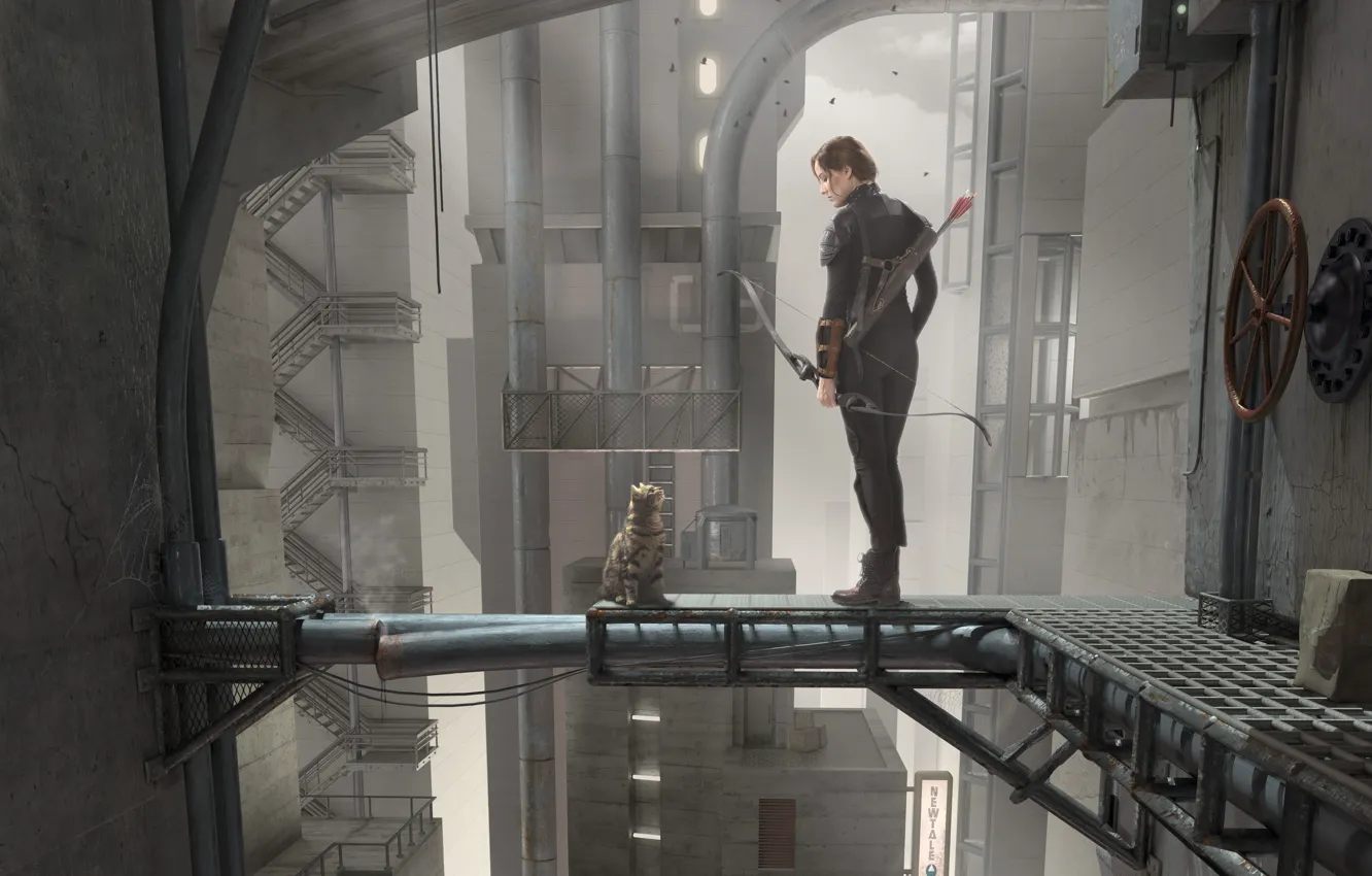 Wallpaper cat, girl, bow, arrows, The hunger games, based on the movie ...