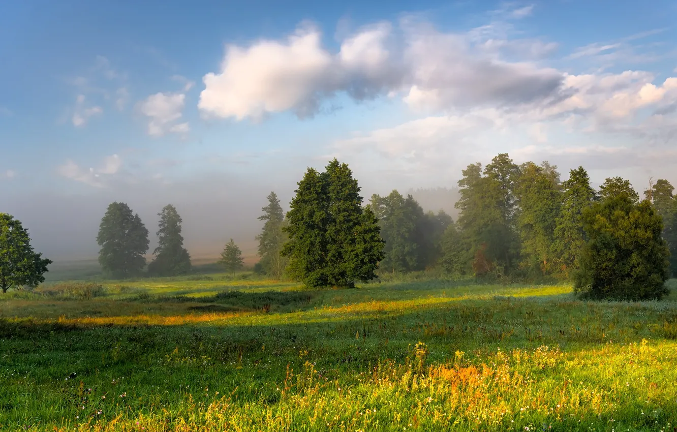 Wallpaper field, forest, clouds for mobile and desktop, section пейзажи ...