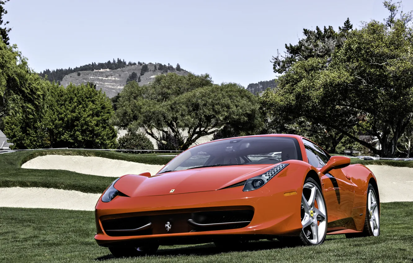 Wallpaper field, trees, red, Ferrari, red, grass, Ferrari, 458, sky ...