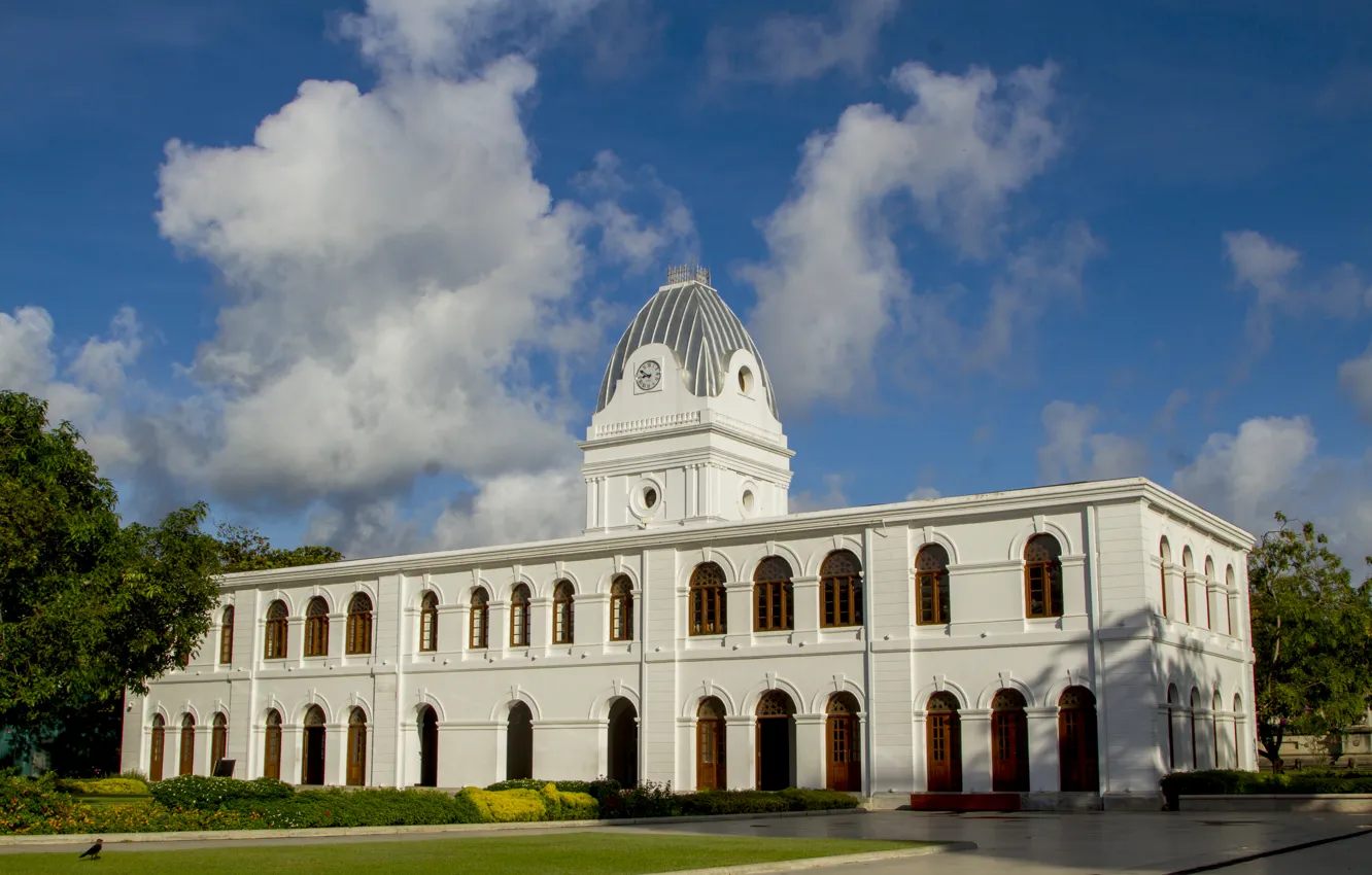 Wallpaper birds, Family, Sri Lanka, Colombo, thanujan, thanujan ...