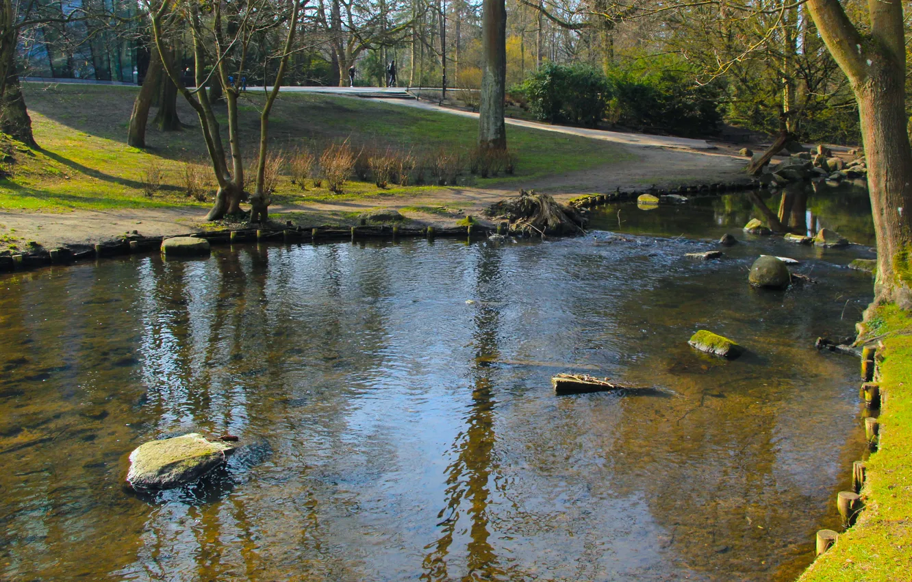 Wallpaper river, water, park, Brook for mobile and desktop, section ...