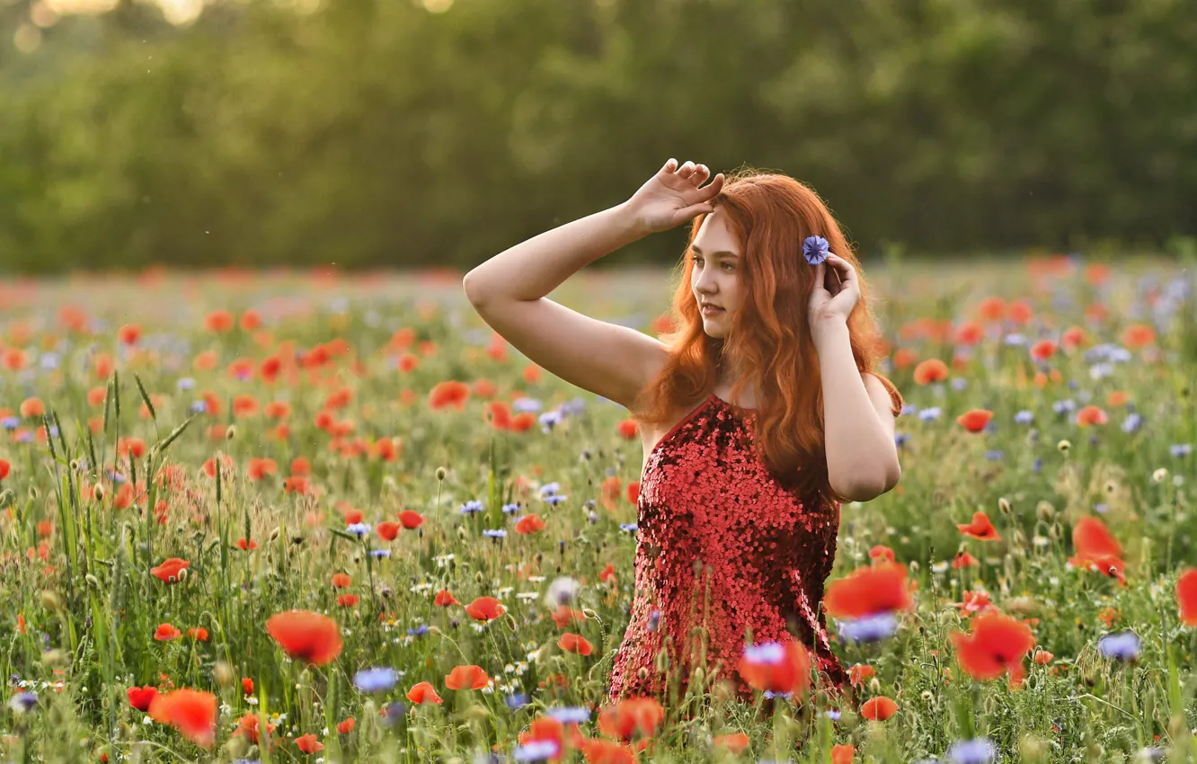 Wallpaper Summer Girl Flowers Nature Pose Maki Hands Dress For