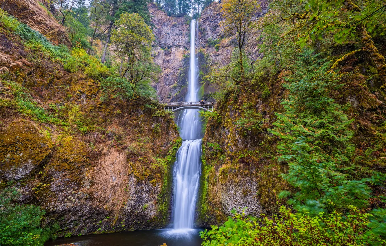 Wallpaper bridge, waterfall, canyon, USA, Columbia, Gorge National ...