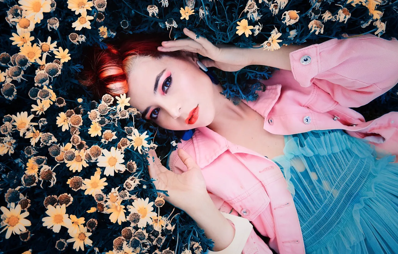 Wallpaper Look Girl Flowers Face Mood Chamomile Hands Makeup For