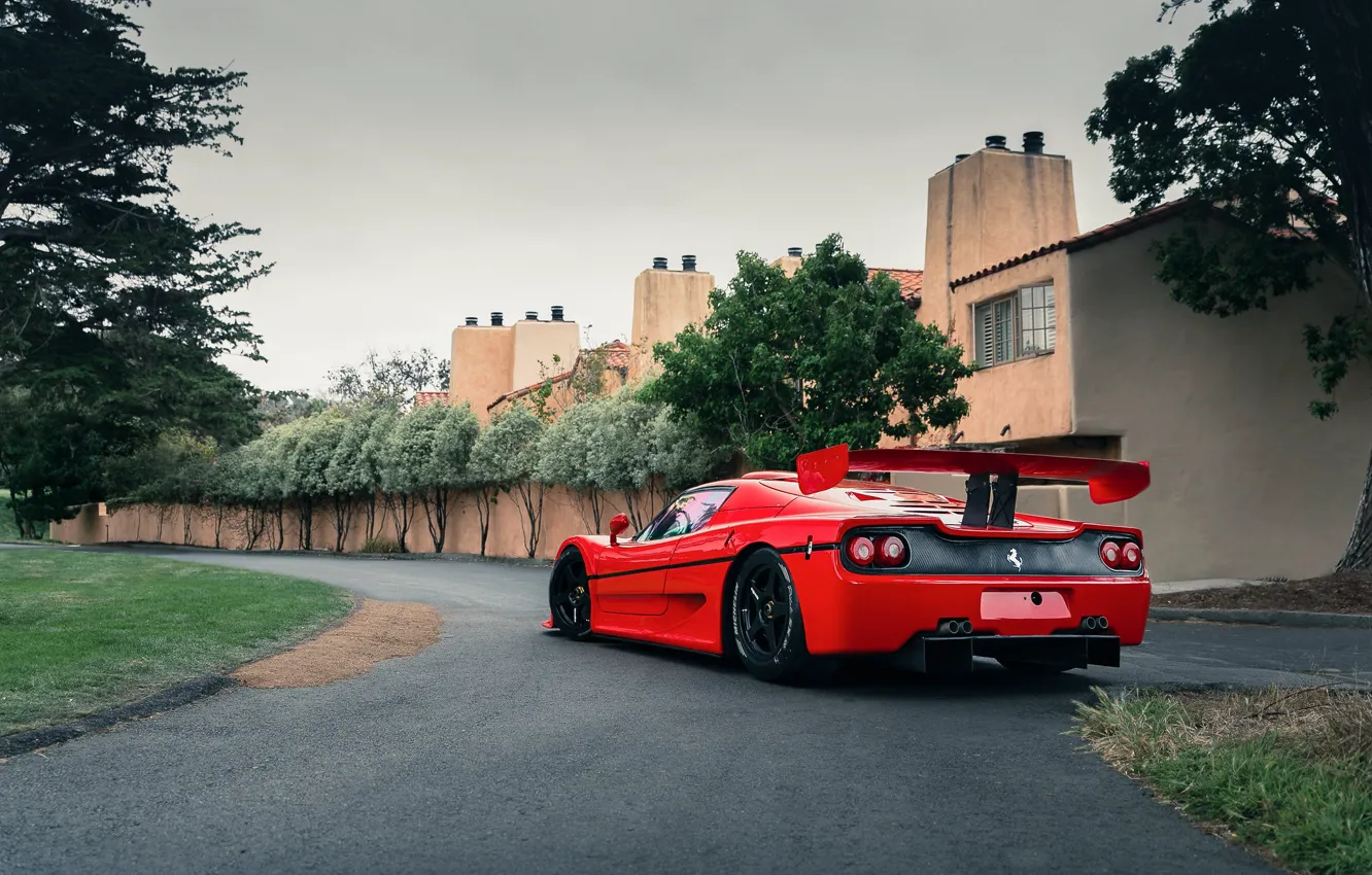 Wallpaper Red, Rear view, F50 GT for mobile and desktop, section ...