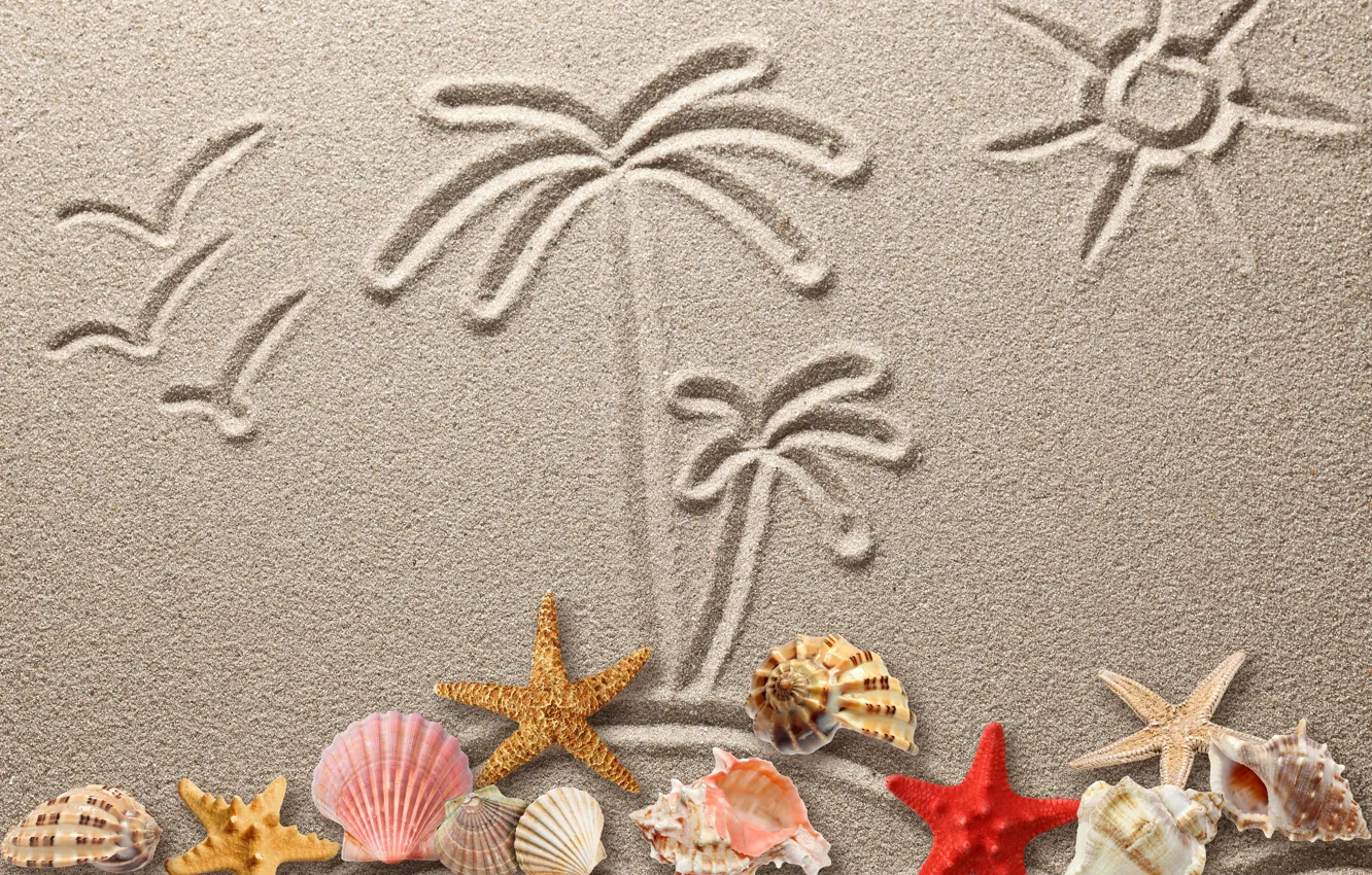 Wallpaper sand, figure, shell, texture, sand, drawing, starfish ...
