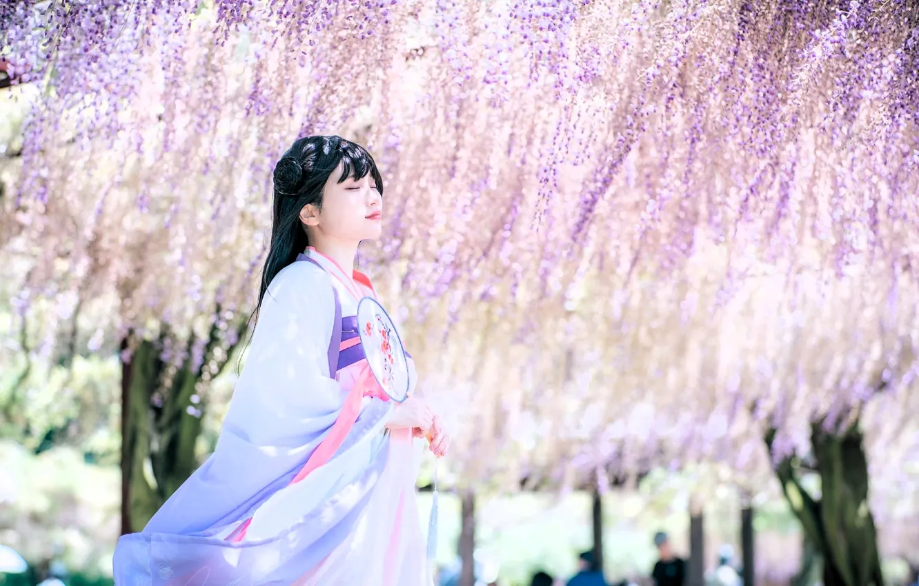 Wallpaper trees, spring, fan, costume, outfit, Asian, flowering ...