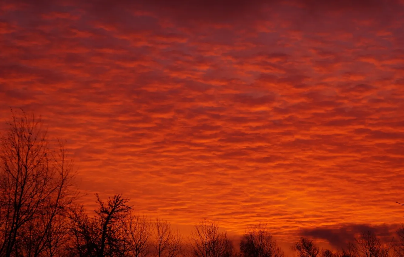 Wallpaper red, sky, sunset, cloud for mobile and desktop, section ...