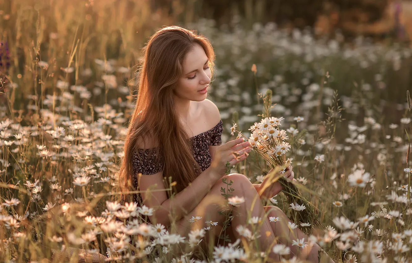 Wallpaper Field Summer Girl Flowers Nature Chamomile Dress Brown