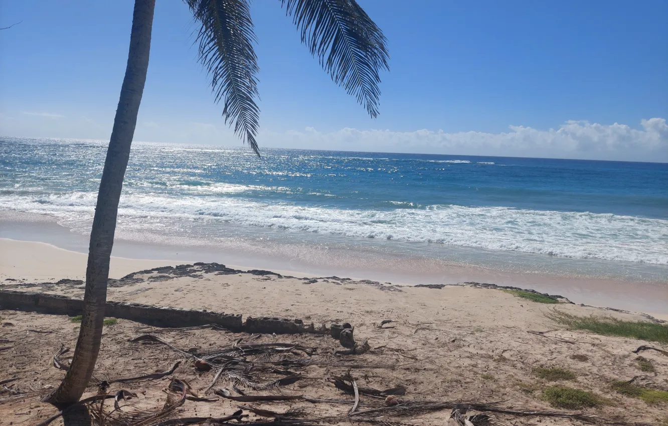 Wallpaper Ocean view resorts Barbados, Barbados coastline, Atlantic ...