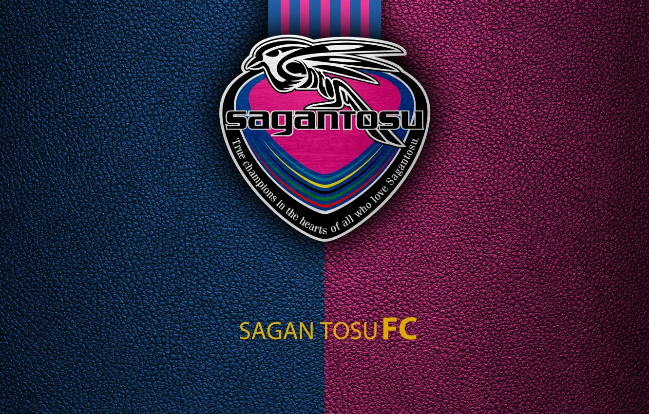 Wallpaper wallpaper, sport, logo, football, Sagan Tosu for mobile and ...