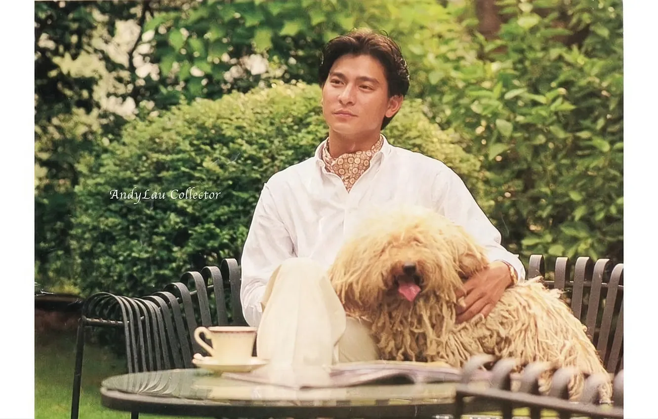 Wallpaper actor, dancer, singer for mobile and desktop, section мужчины ...