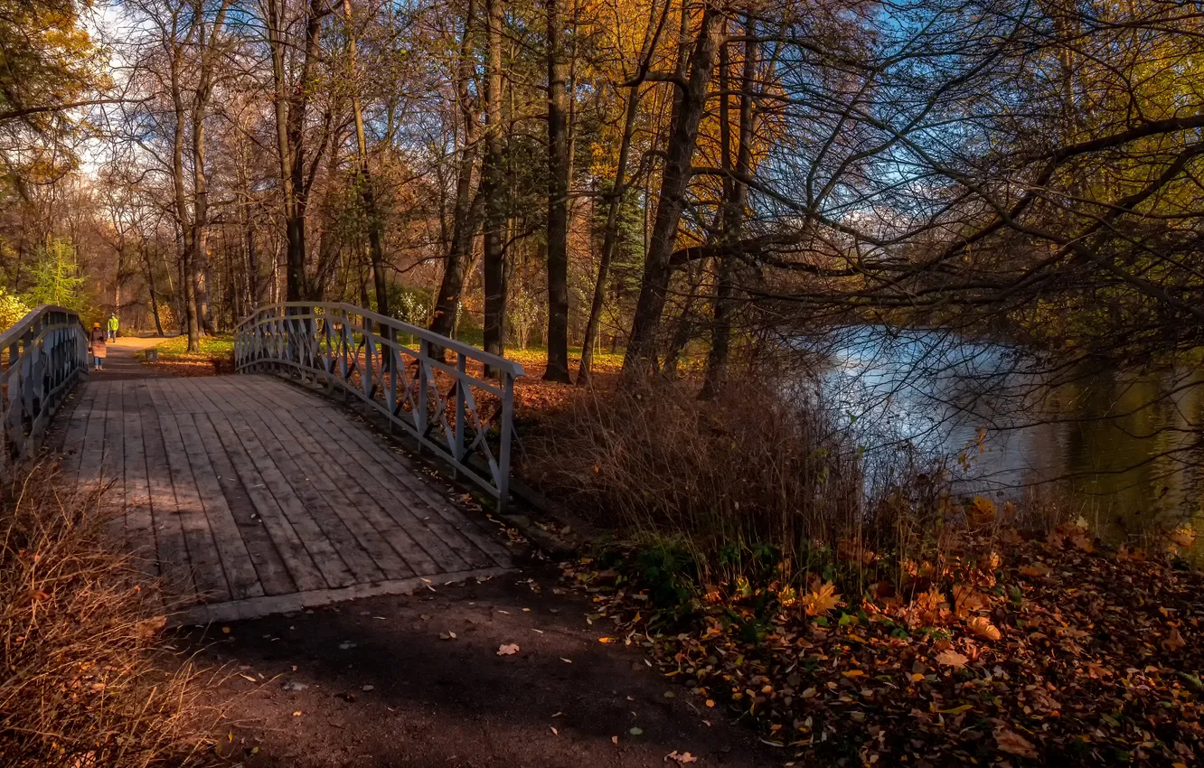 Wallpaper trees, bridge, park, autumn for mobile and desktop, section ...