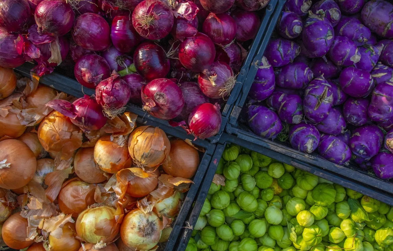 Wallpaper harvest, bow, vegetables for mobile and desktop, section еда ...