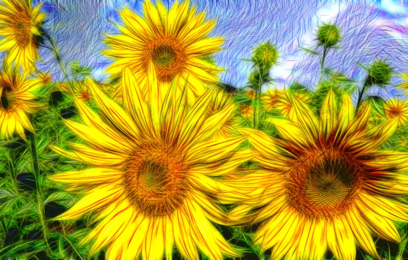 Wallpaper fractalius, Graphics, Flowers, Sunflowers for mobile and ...