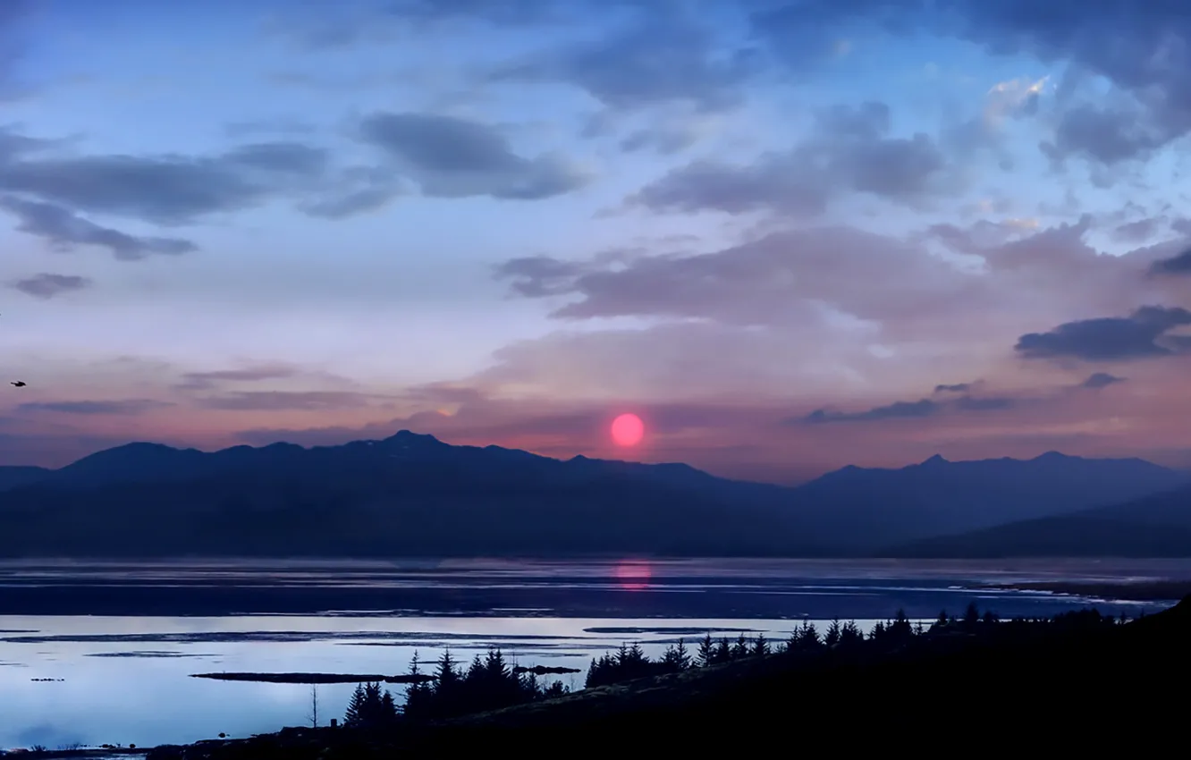 Wallpaper forest, twilight, Landscape, sky, trees, sunset, figure ...