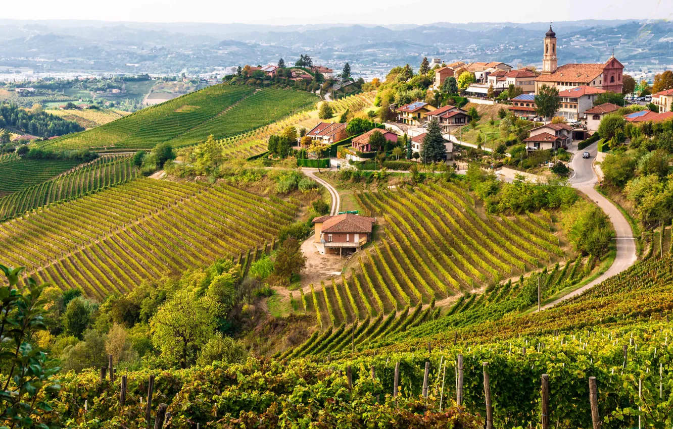 Wallpaper Italy, wine, Piemonte, red wine, vineyards, Denomination of ...