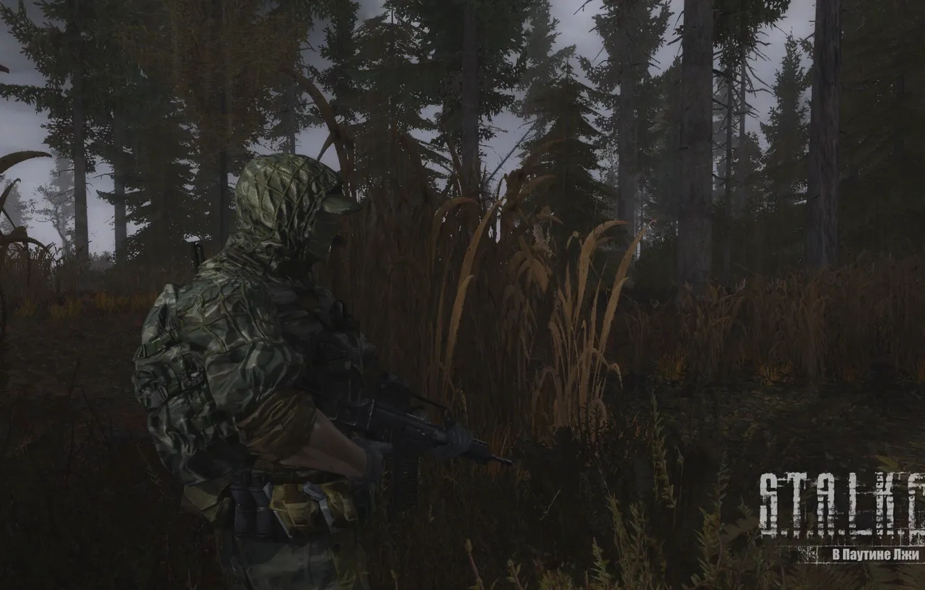 Wallpaper forest, weapons, the game, swamp, game, forest, Stalker, S. T ...