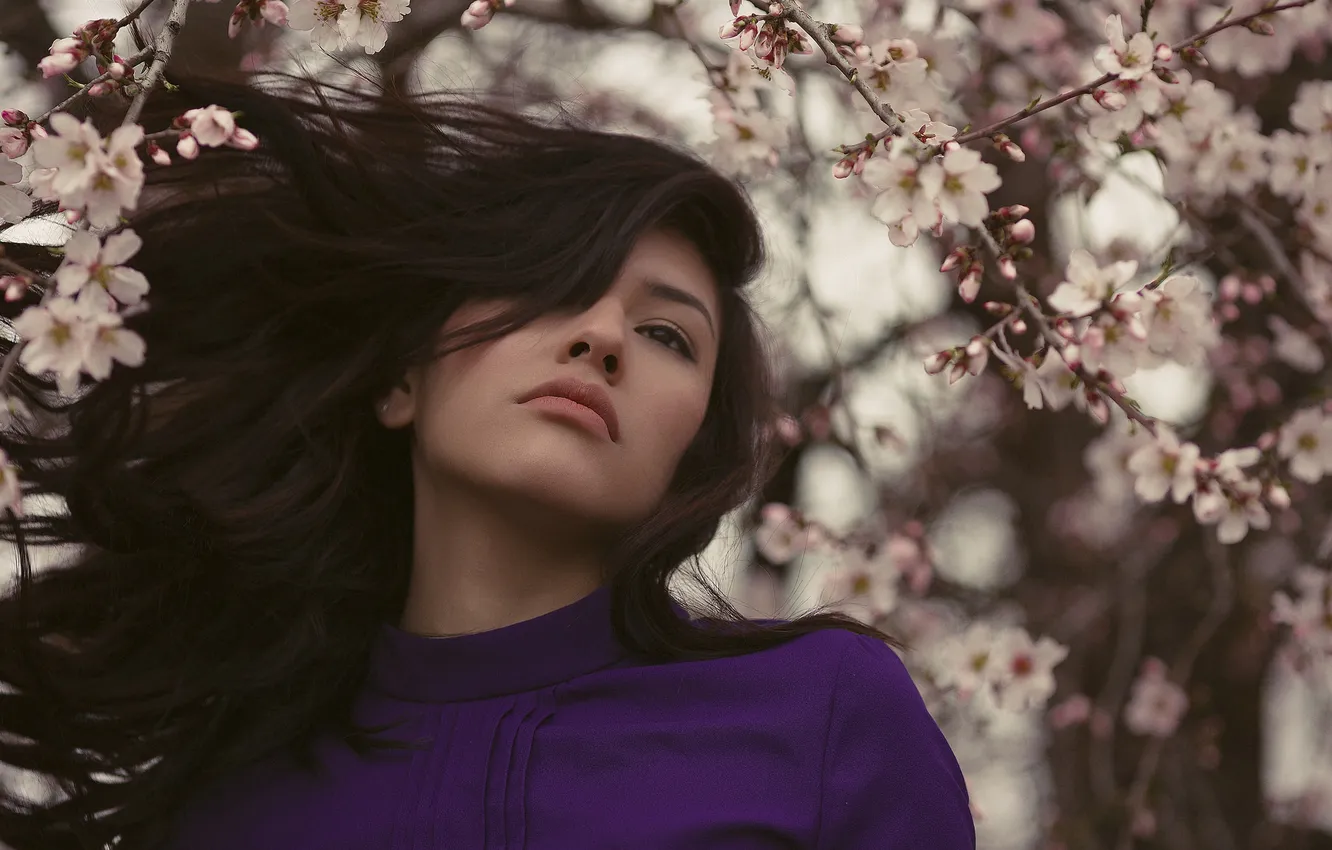 Wallpaper Look Girl Face Hair Sakura Lips Beauty For Mobile And