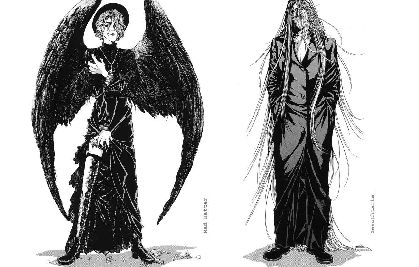 Wallpaper long hair, Mad Hatter, black cloak, black wings, the abode of ...