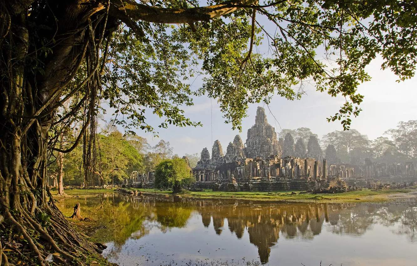 Wallpaper swamp, civilization, Cambodia for mobile and desktop, section ...