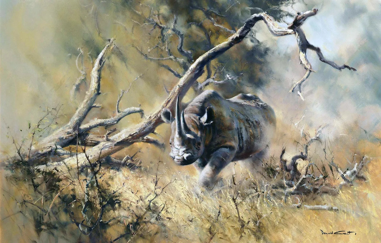 Wallpaper Tree, Running, Picture, Donald Grant, Rhino, British animal artist, Donald Grant ...